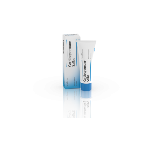 Cardiospermum Salbe Cream 50g - Loreto Pharmacy