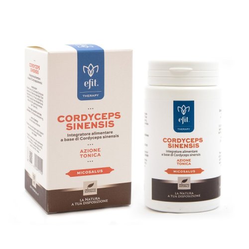 Efit Cordyceps Food Supplement 90 Capsules