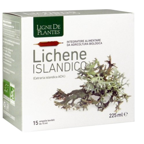 ICELANDIC LICHEN 15AMPX15ML