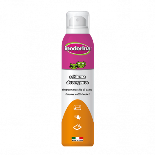 INODORINA CLEANSING FOAM 200 ML