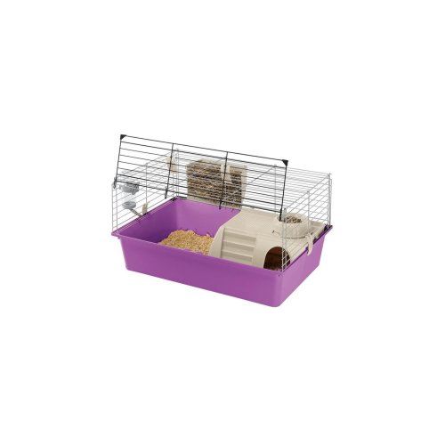 Guinea Pigs 15 CAGE