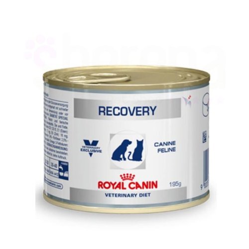 Royal Canin Veterinary Recovery Wet Food 195g