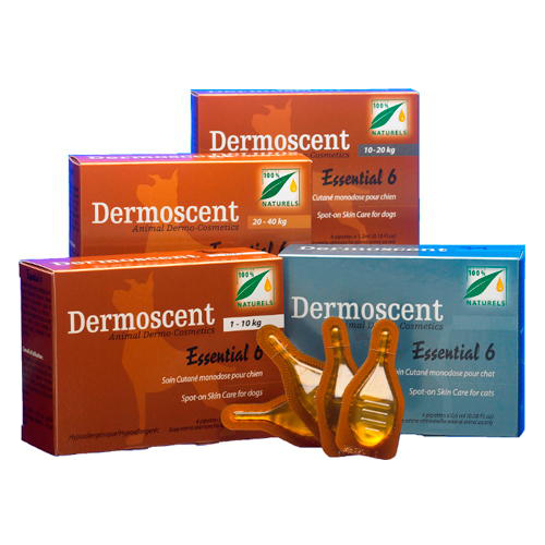 Dermoscent Essential 6 Spot On Cats 4x0,6ml