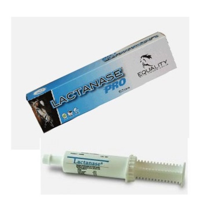 Lactanase Pro Oral Paste Syringe for Athlete Horse 50g