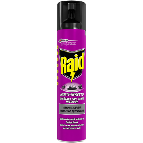 Raid Multi-Insect Spray 300ml - Loreto Pharmacy