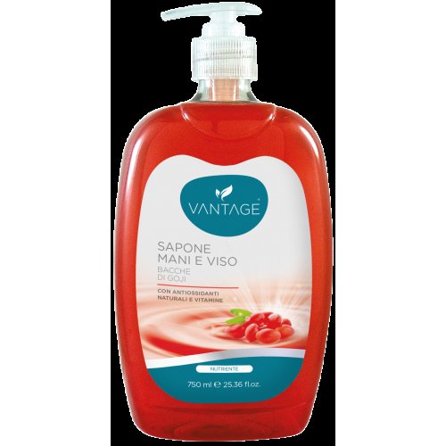 * VANTAGE SAP HANDS AND FACE B GOJI 750